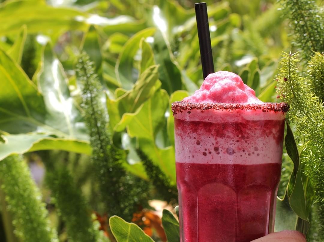 Cómo preparar Receta para hacer jugo de corozo Fácil de hacer